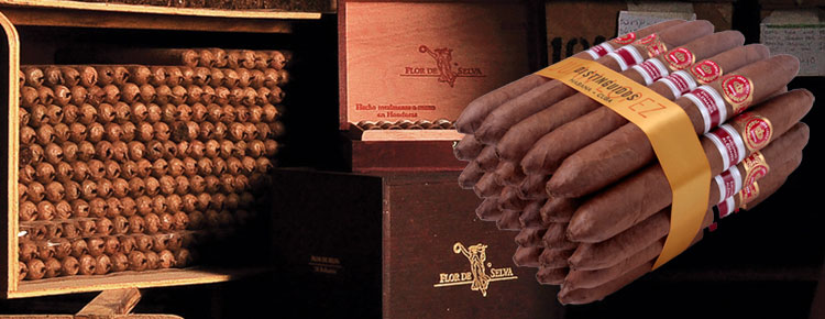 Zigarren bequem und einfach online kaufen - falkum.de